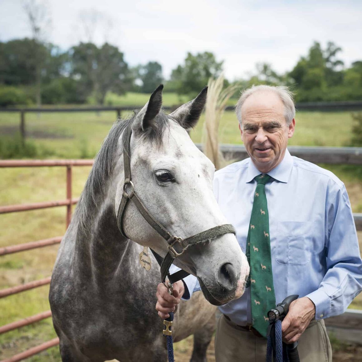 How To Tell Foxtail From Timothy & Control It - Equine Monthly