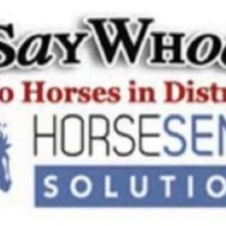 How To Tell Foxtail From Timothy & Control It - Equine Monthly