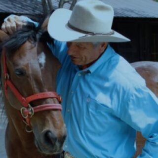 How To Tell Foxtail From Timothy & Control It - Equine Monthly