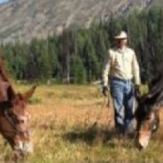 How To Tell Foxtail From Timothy & Control It - Equine Monthly