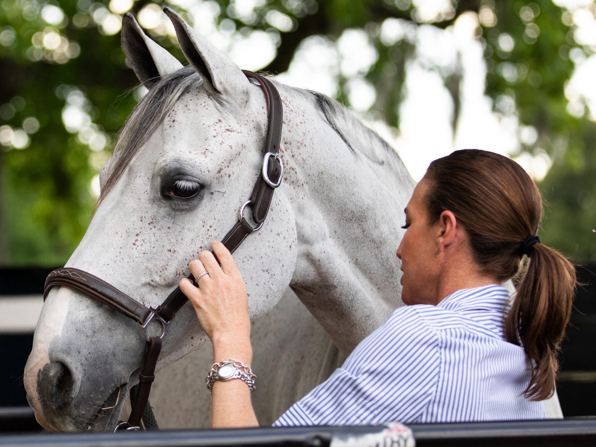 How To Tell Foxtail From Timothy & Control It - Equine Monthly
